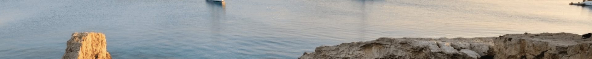 Mathis | Candidats | Occupation Double Chypre | Noovo